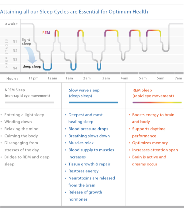 To Sleep, Perchance to Get Through a Full 5-stage Cycle – ZayZay Living